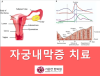 증상원인과 임신한약에 대해 기운찬한의원에서 알려드립니다 노원구동대문구중랑구광진구 네이버 블로그